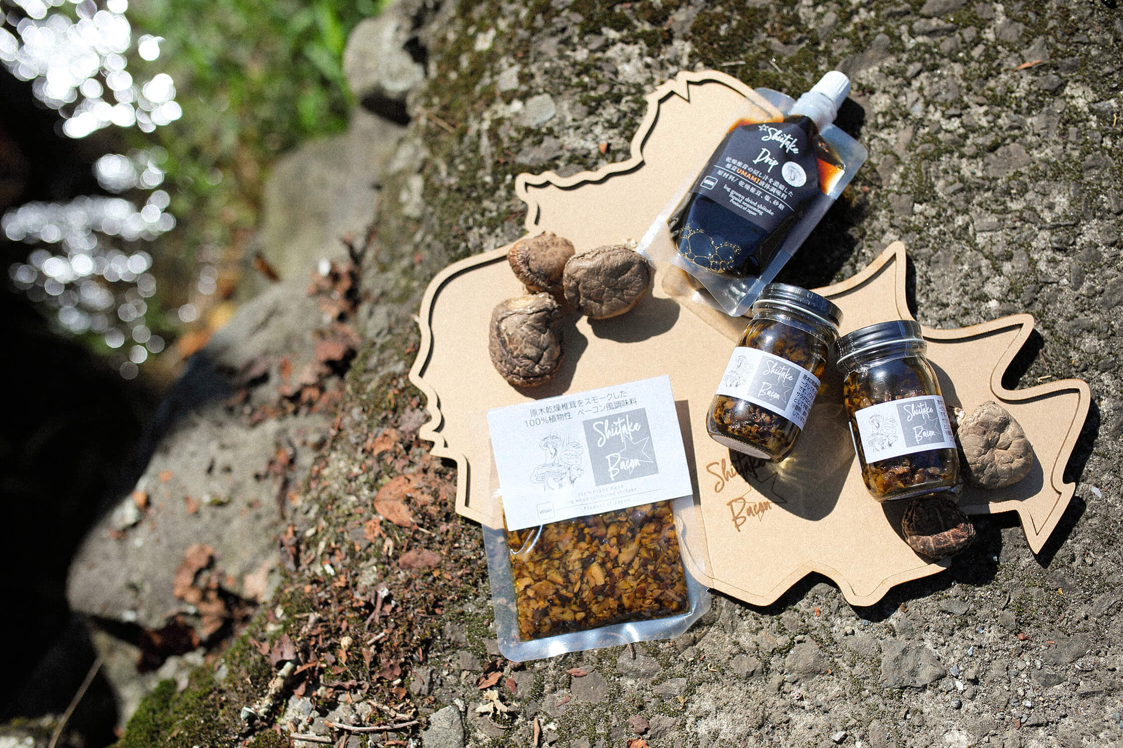 原木乾し椎茸のおいしさを知る、入口となる加工品を | ☆Shiitake-ya! | 特集記事 | おおいた、食のたすき。