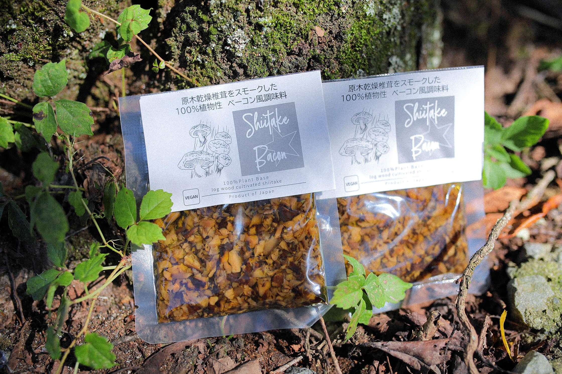 原木乾し椎茸のおいしさを知る、入口となる加工品を | ☆Shiitake-ya! | 特集記事 | おおいた、食のたすき。